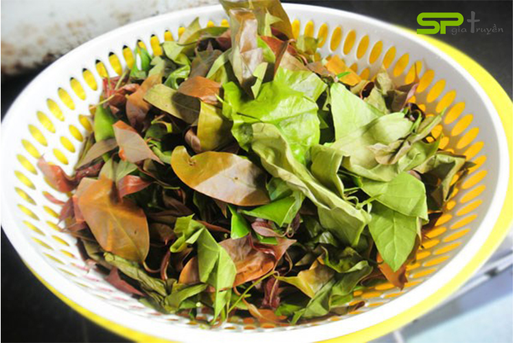 Những Loại Rau Rừng Vừa Ngon Vừa Tốt Cho Sức Khỏe - Sản Phẩm Gia Truyền