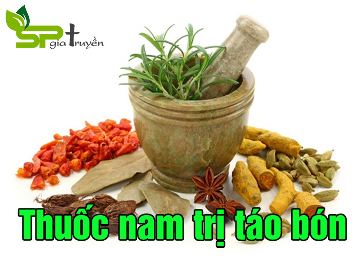 8+ Vị thuốc nam trị táo bón hiệu quả