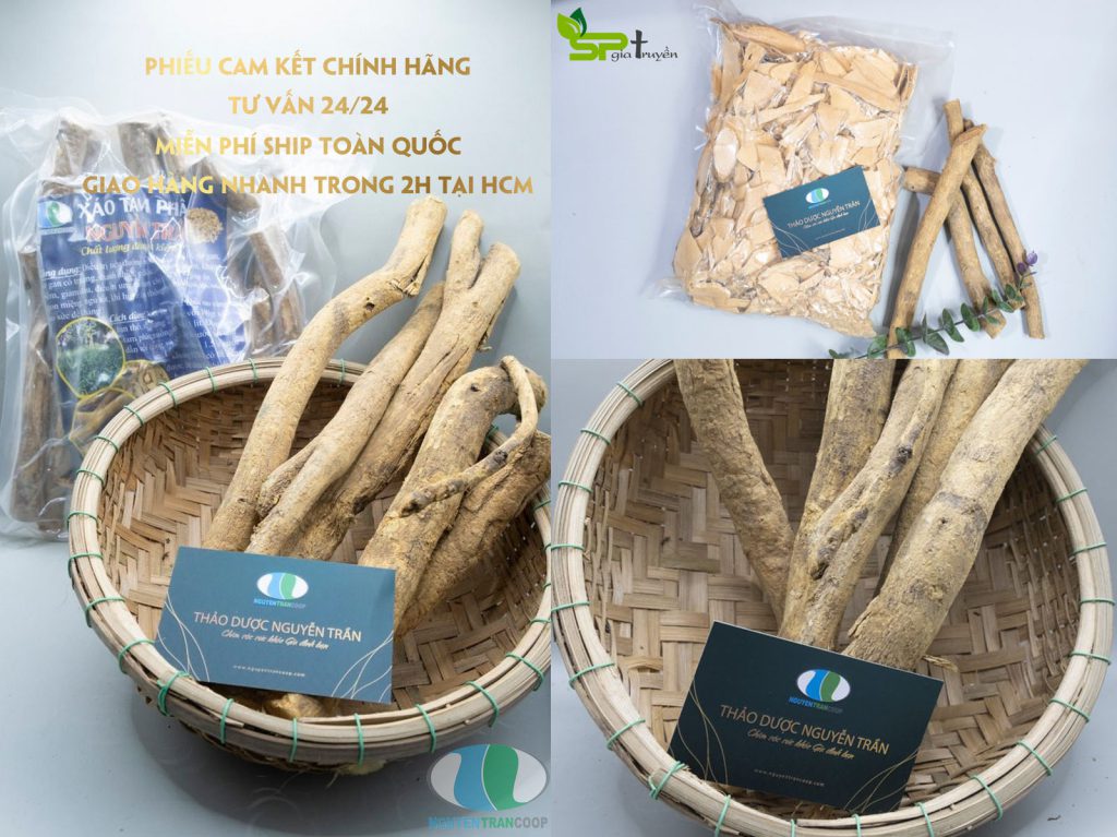 Cây Thần Xạ là cây gì? Công dụng và giá bán cụ thể
